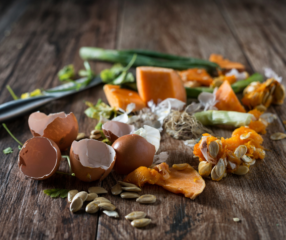Food waste in New Zealand – Bay Enviro Bins